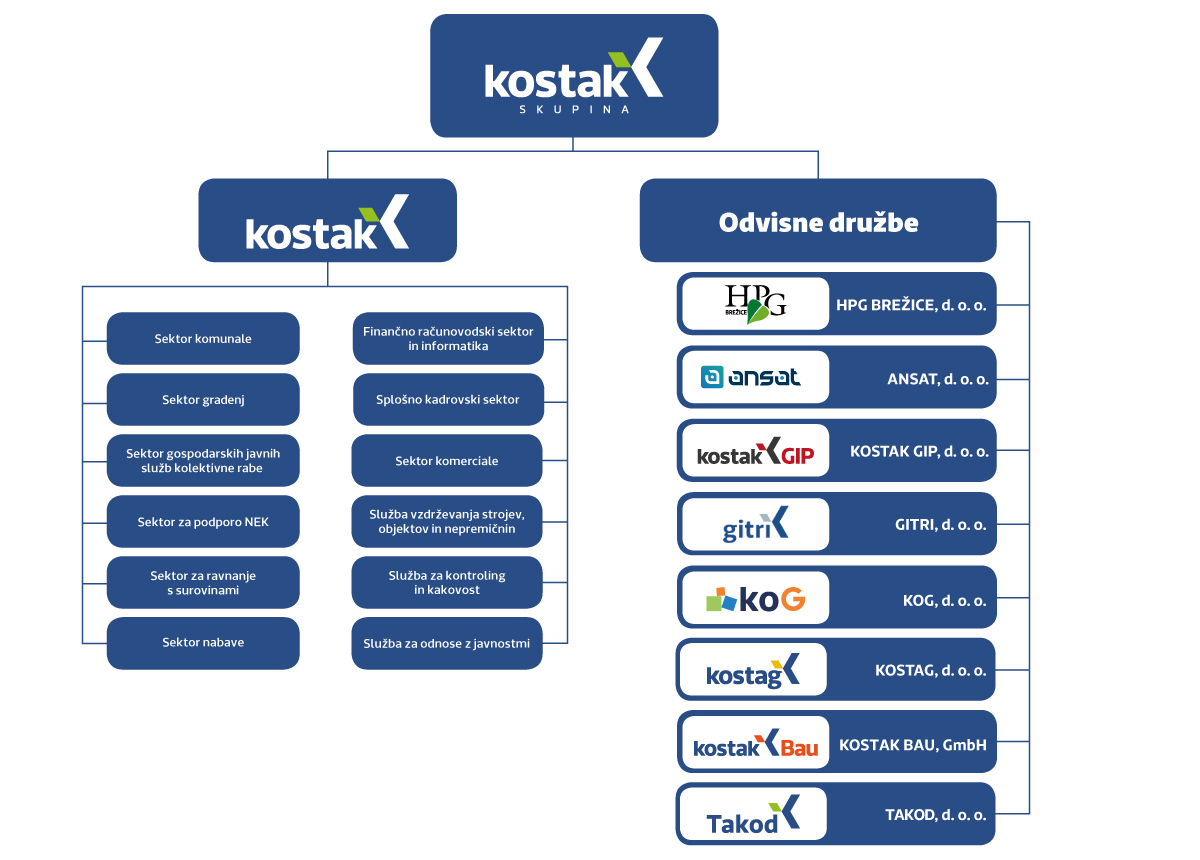 Organizacija